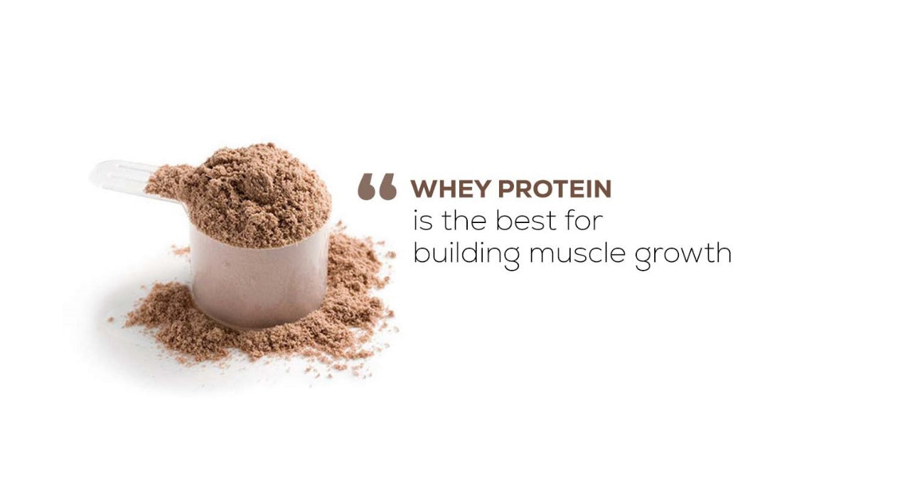 Best Whey Protein For Building Muscles | Healthfarm – Healthfarm Nutrition