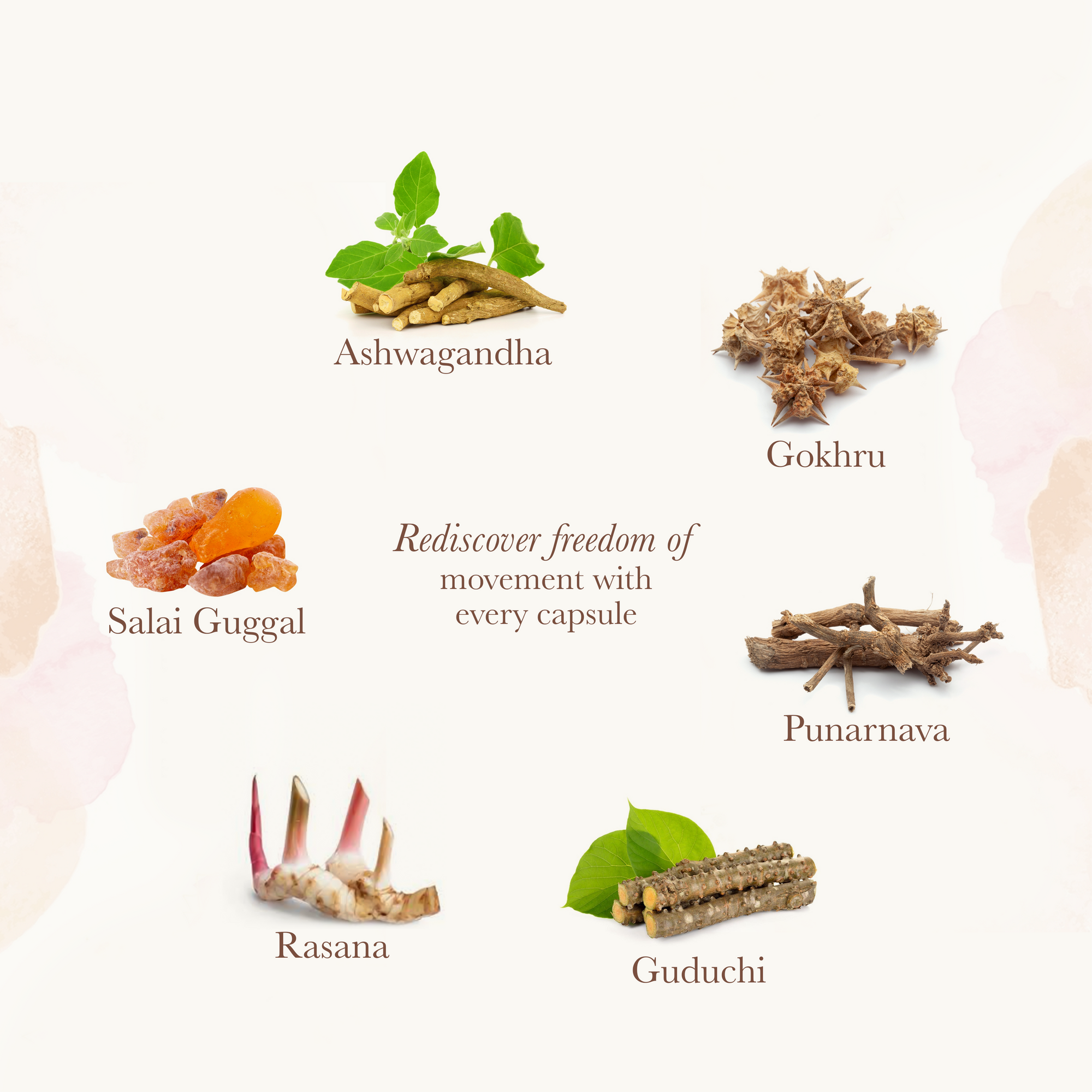 Activate Joint Pain Capsules 60 Cap - Healthfarm – Healthfarm Nutrition